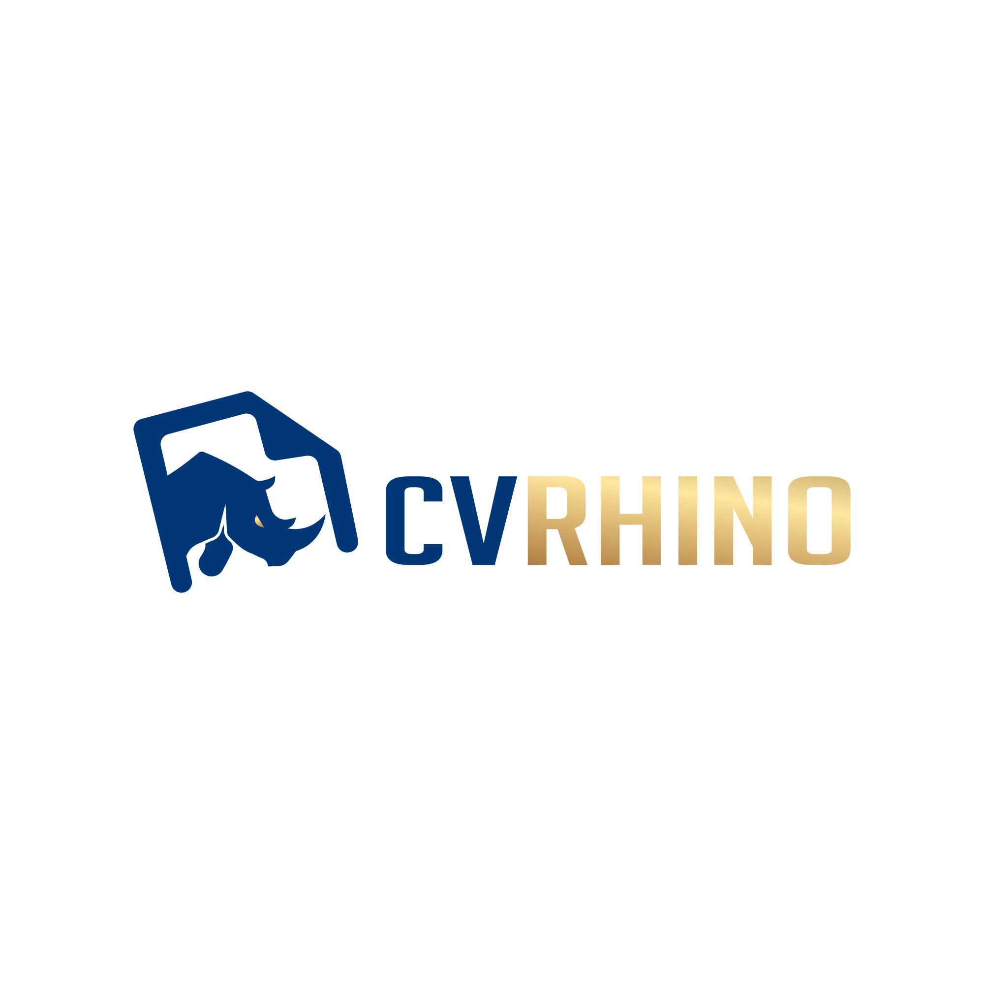 Professional Cover Letter Writing | Career Boost | CVRhino